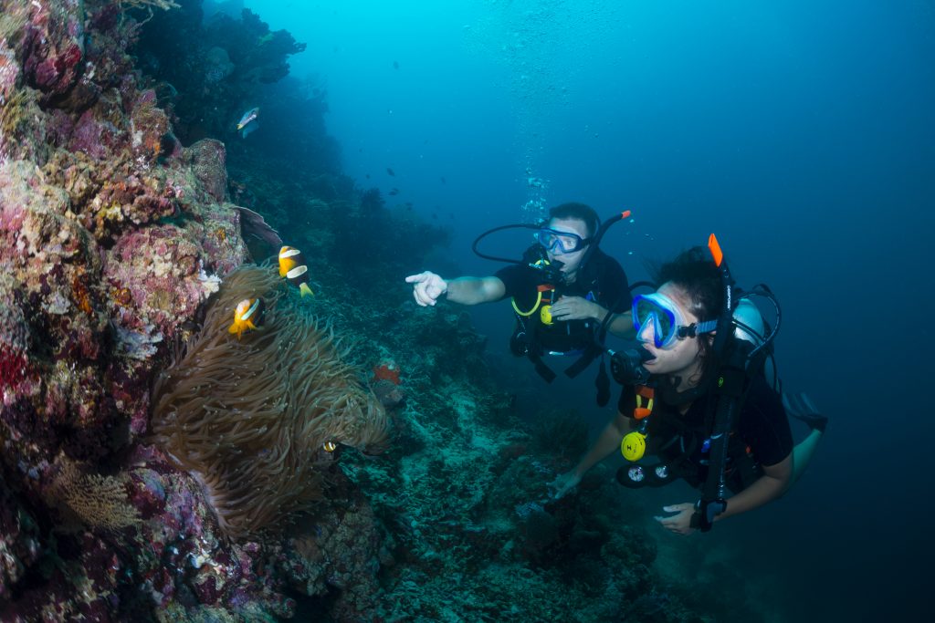 Diving - Bali Hai Cruises